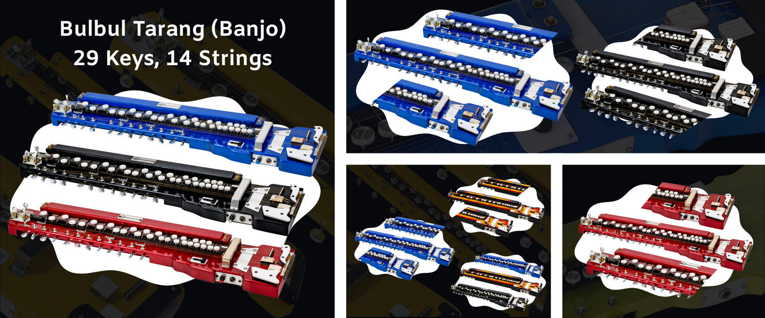 Learn to Play Bulbul Tarang – Beginner's Guide | Harmonium Guru Banjo ...